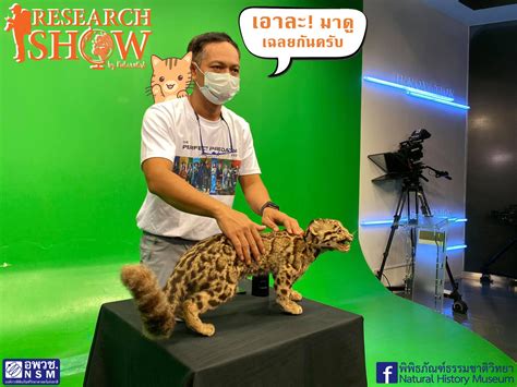 อพวช พิพิธภัณฑ์ธรรมชาติวิทยา Natural History Museum