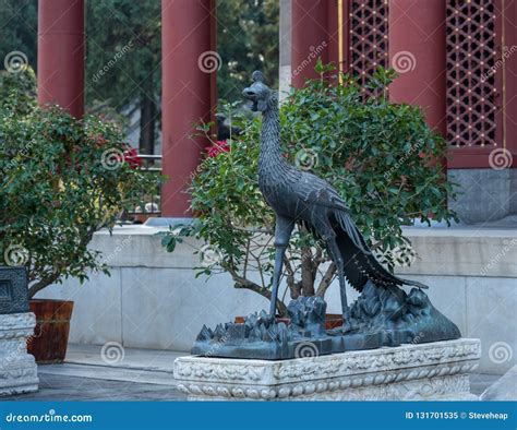 Peacock At Summer Palace Outside Beijing China Stock Image Image Of