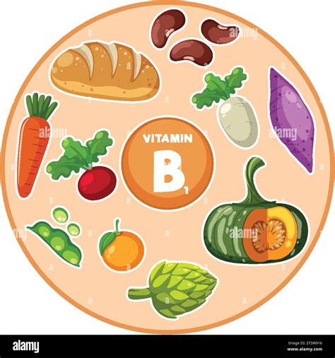 High In Vitamin B1 Stock Vector Images Alamy