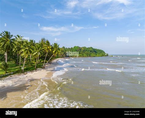 The Ariel View Of The Clear Sky With Palm Trees Fine Sand And Foam