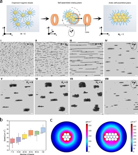 Figure 2 From Magnetic Microrobot Swarms With Polymeric Hands Catching Bacteria And