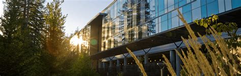 Cafins 2021 Annual Newsletter Center For Analytical Finance