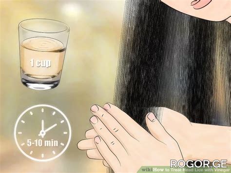 როგორ მოვიშოროთ ტილები Rogor Ge