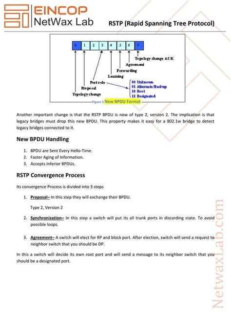 Rstp Rapid Spanning Tree Protocol Pdf