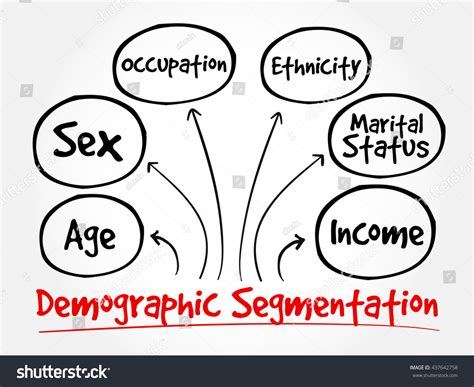 Demographic Segmentation Mind Map Flowchart Social Stock Illustration 437642758 Shutterstock