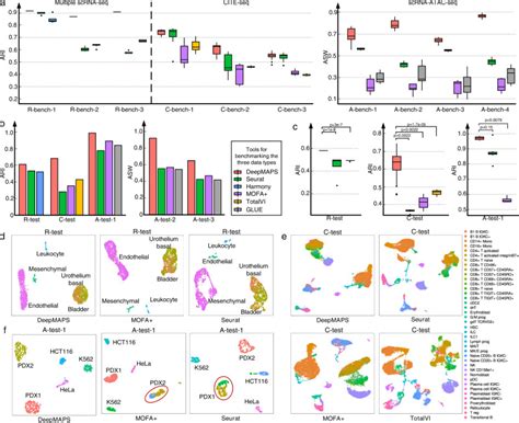 Single Cell Biological Network Inference Using A Heterogeneous Graph Transformer Pmc