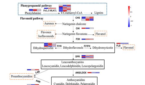 Expression Profile Clustering Of Transcription Factors Related To