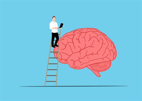 Download Brain Code Programmer Royalty Free Vector Graphic Pixabay