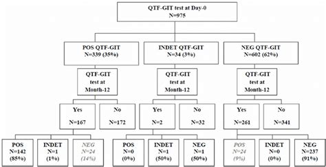 flow chart pos positive quantiferon tb gold in tube test neg