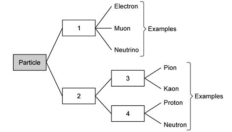 Classification Of Particles Aqa A Level Physics Exam Questions And Answers 2015 [pdf]