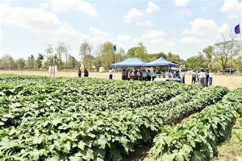 တိုင်းဒေသကြီး ဝန်ကြီးချုပ် ဦးမျိုးဆွေဝင်း ပဲခူးတိုင်းဒေသကြီးအနောက်ခြမ