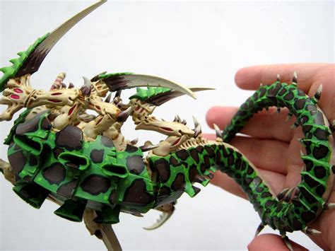 My Trygon My Trygon Gallery Dakkadakka