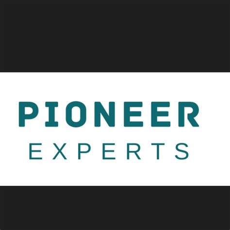 Milan Gharib Manager Pioneer Experts Xing