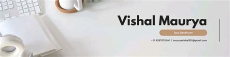 Vishal Maurya Bareilly Uttar Pradesh India Professional Profile