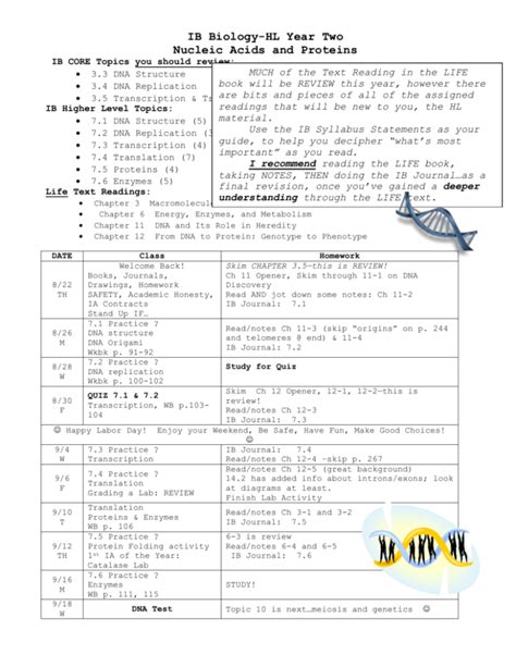 Ib Biology Hl Nucleic Acids And Proteins Syllabus