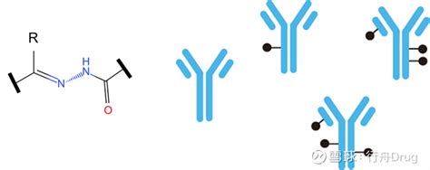 从cmc视角，如何降低adc药物开发风险？ 前言 当下超过500种生物偶联物管线中，41 为抗体偶联药物（antibody Drug Conjugate，adc）。 雪球