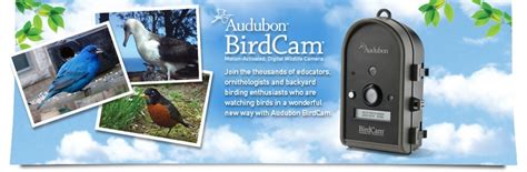 Wingscapes Birdcam Audubon Birdcam 2 0