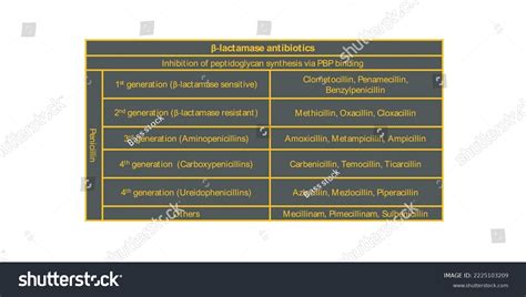 Table Showing Classification Penicillin Antibiotic By Stock Vector Royalty Free 2225103209