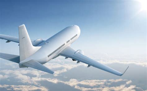 Sofia Amorim Posted On Linkedin