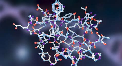 Incurred Sample Reanalysis Isr Test Northeast Biolab