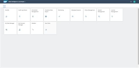 Sap Data Intelligence Accessing Datalake In Jupyt Sap Community
