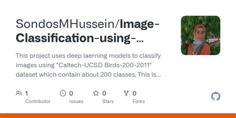 Github Sondosmhusseinimage Classification Using Deep Learning Models
