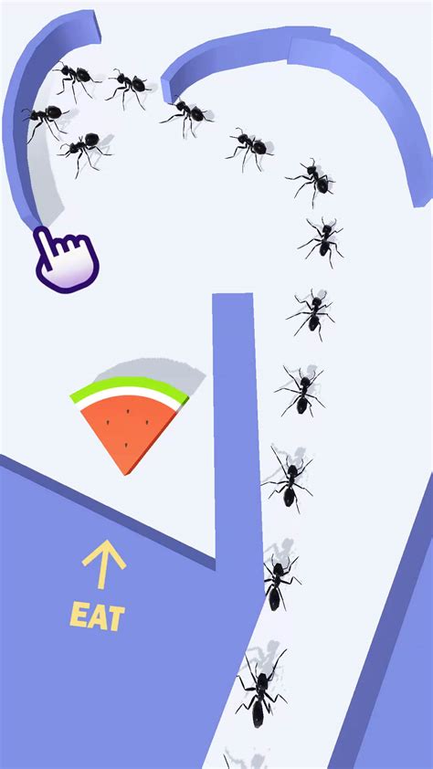 Ant Flow Unity Source Code Source Code Sellanycode