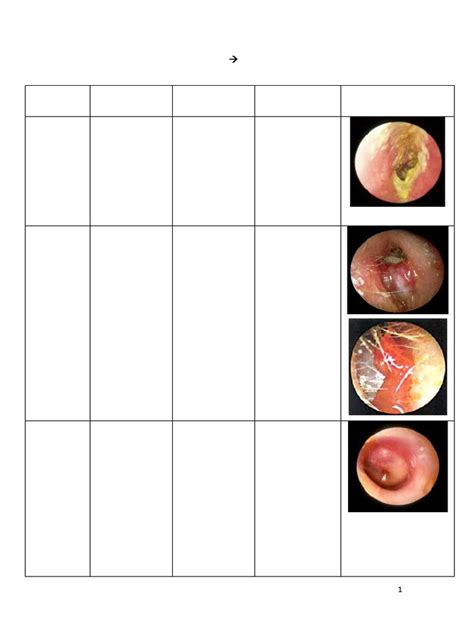 Baca Diagnosa Banding Tht Pdf