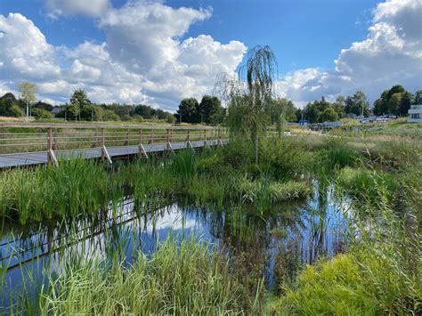 Climate Adaptation Naturally Ecologic Institute