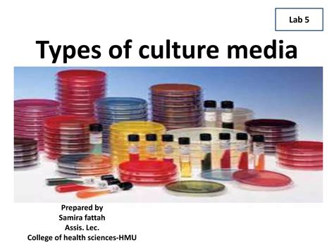 Types Of Culture Media Pptx