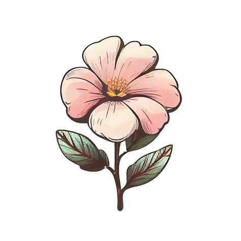 Cute Pink Flower Hand Drawn Element Perfect For Decorating Valentine