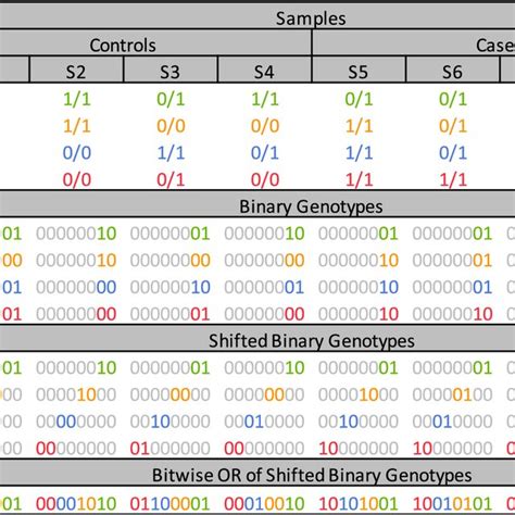 The Bitwise Representation Of Four Example Snvs A B C And D And Download Scientific