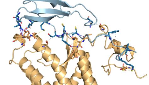 Assist You In Any Basic And Advanced Bioinformatics Analysis By