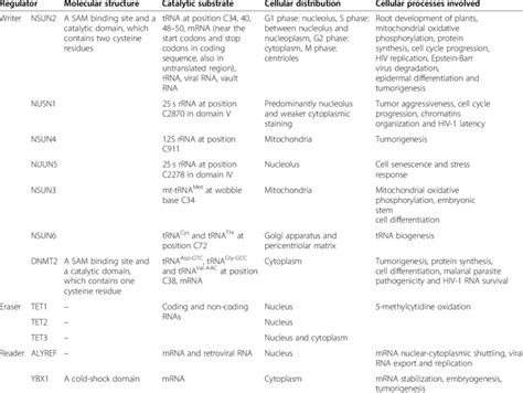 summary of rna m 5 c regulators download scientific diagram