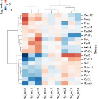 figure supplement 2. Hierarchical clustering heatmap of genes whose ...