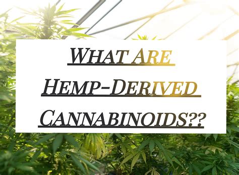 What Are Hemp Derived Cannabinoids