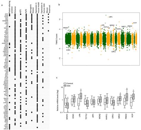Gene Prioritization And Expression A Support Of Various Gene Download Scientific Diagram