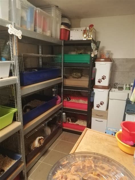 Chs Of Stracciatella