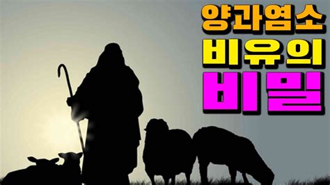 양과 염소 비유의 비밀 Youtube