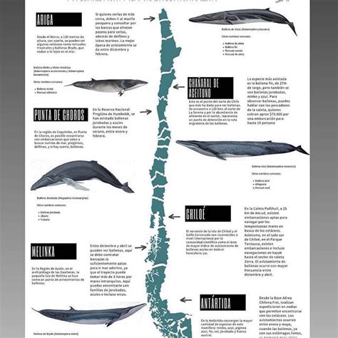 New The 10 Best Travel Ideas Today With Pictures InfografÍa