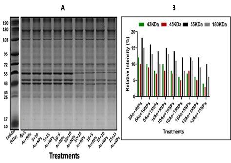 The Effect Of Bacillus Subtilis Synthesized Iron Oxide Nanoparticles On