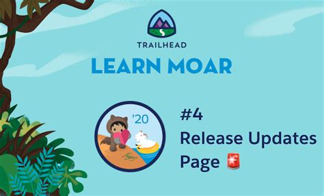 Learn Moar With Summer 20 Release Updates Setup Page Salesforce Admins