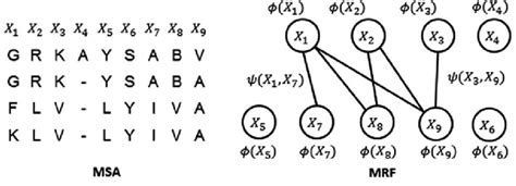 1 Modeling A Multiple Sequence Alignment Left By Markov Random Fields