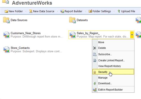 SSRS 2012 Permissions