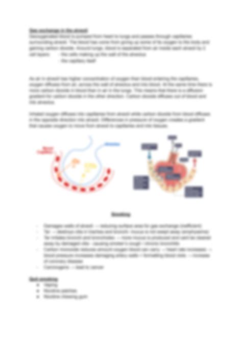 SOLUTION Edexel IGCSE GCSE Biology Science Double Award Respiration And Gas Exchange