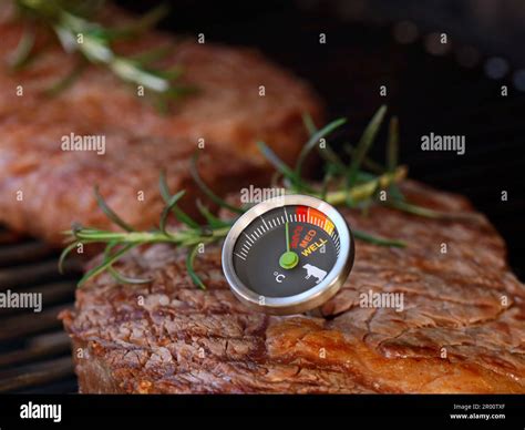 Outset 1 Inch Stainless Steel Mini Steak Thermometers Set