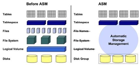 Automatic Storage Management Sharing Oracle Database