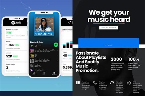 Playlist Push Vs Playlist Promotion 2025 Music Industry How To