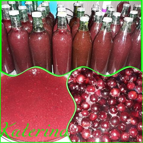 ღოღნოშოს საწებელი ჩემი სამზარეულო კატერინა Facebook