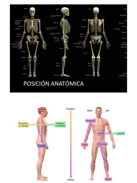 Recurso Complementario 1 Pdf